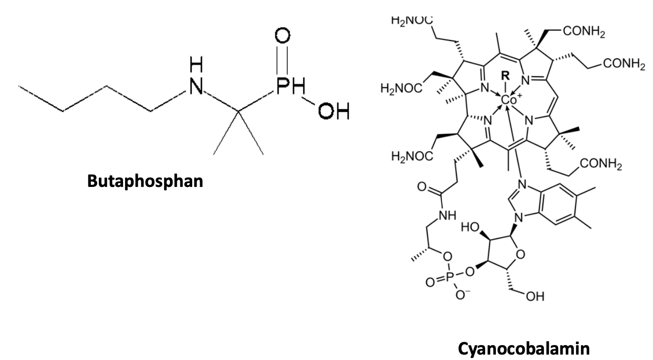 Butaphos® Vet Injection – Ethical Drugs Ltd.